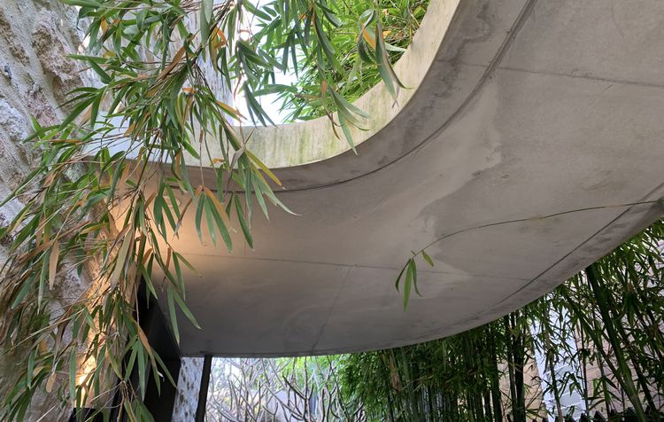 Durbach Block Jaggers Architects - Sydney, Australia